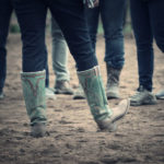 Who We Are - Colorado Horse Rescue