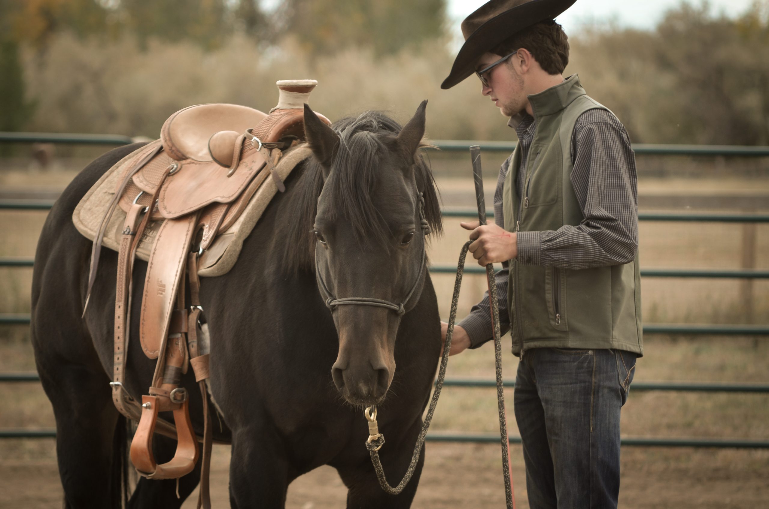 CHR Training Program – An Alternative Approach - Colorado Horse Rescue
