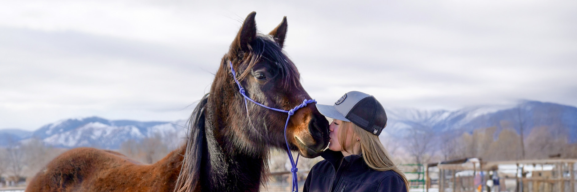 Flower’s Story - Colorado Horse Rescue