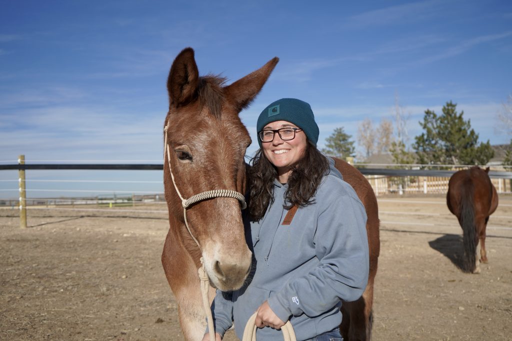 What Sets Mules Apart? - Colorado Horse Rescue