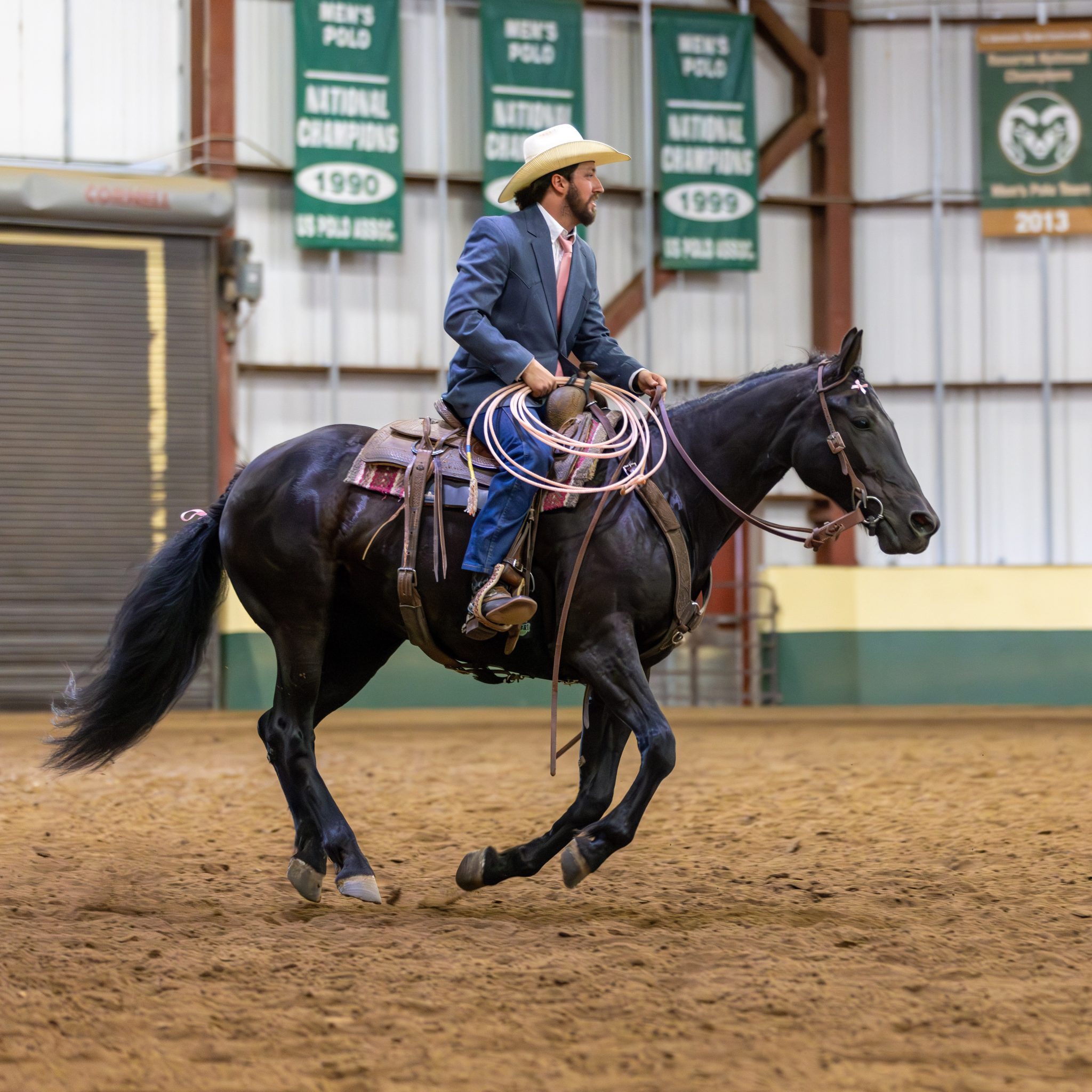 Welcome - Colorado Horse Rescue